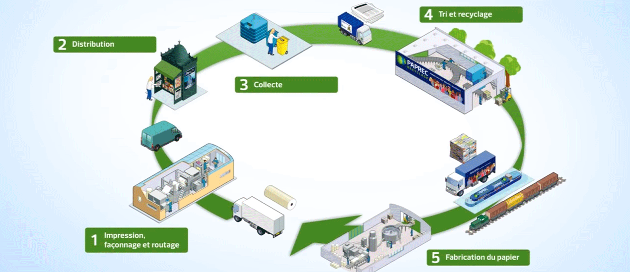 Que devient le carton recyclé ? | Cycle de vie du carton