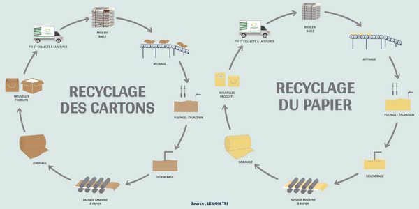 Comment recycler ses déchets papiers et cartons en entreprise