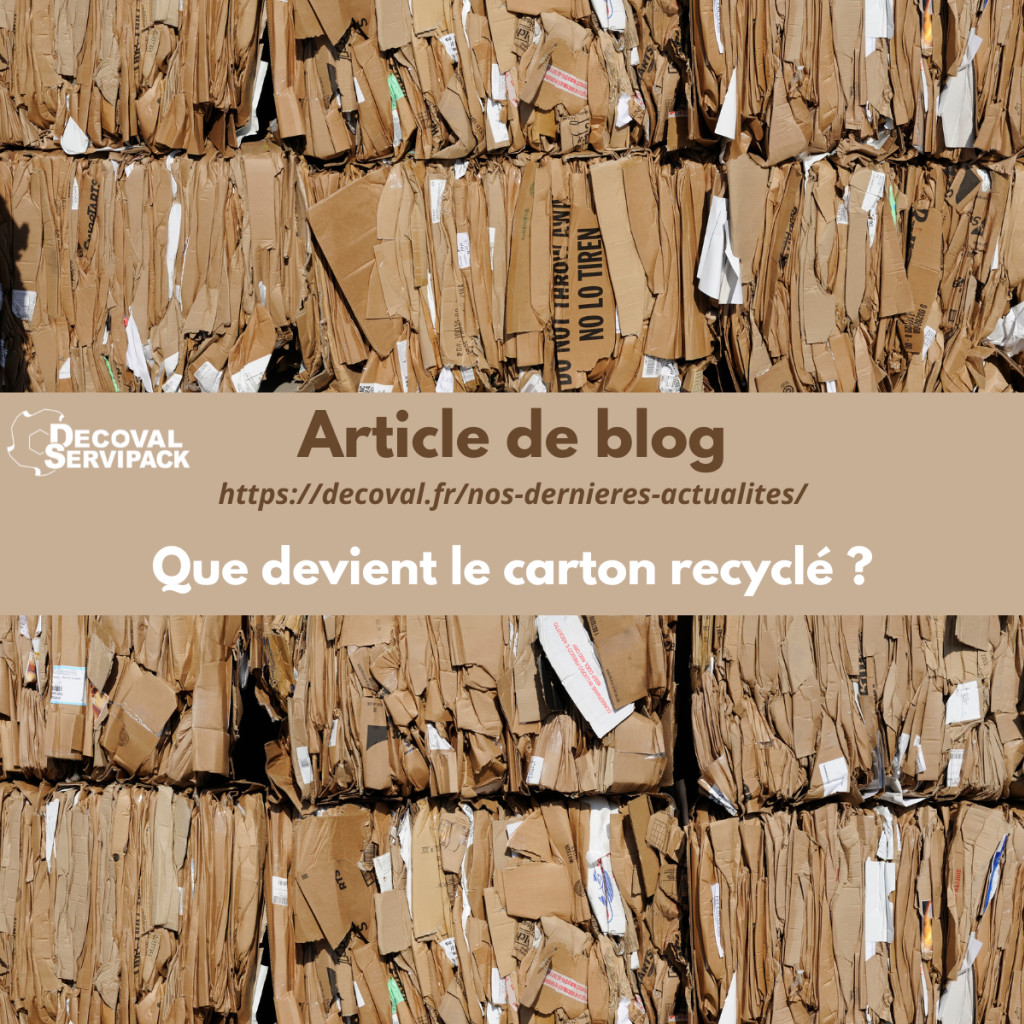 Que devient le carton recyclé ? | Cycle de vie du carton